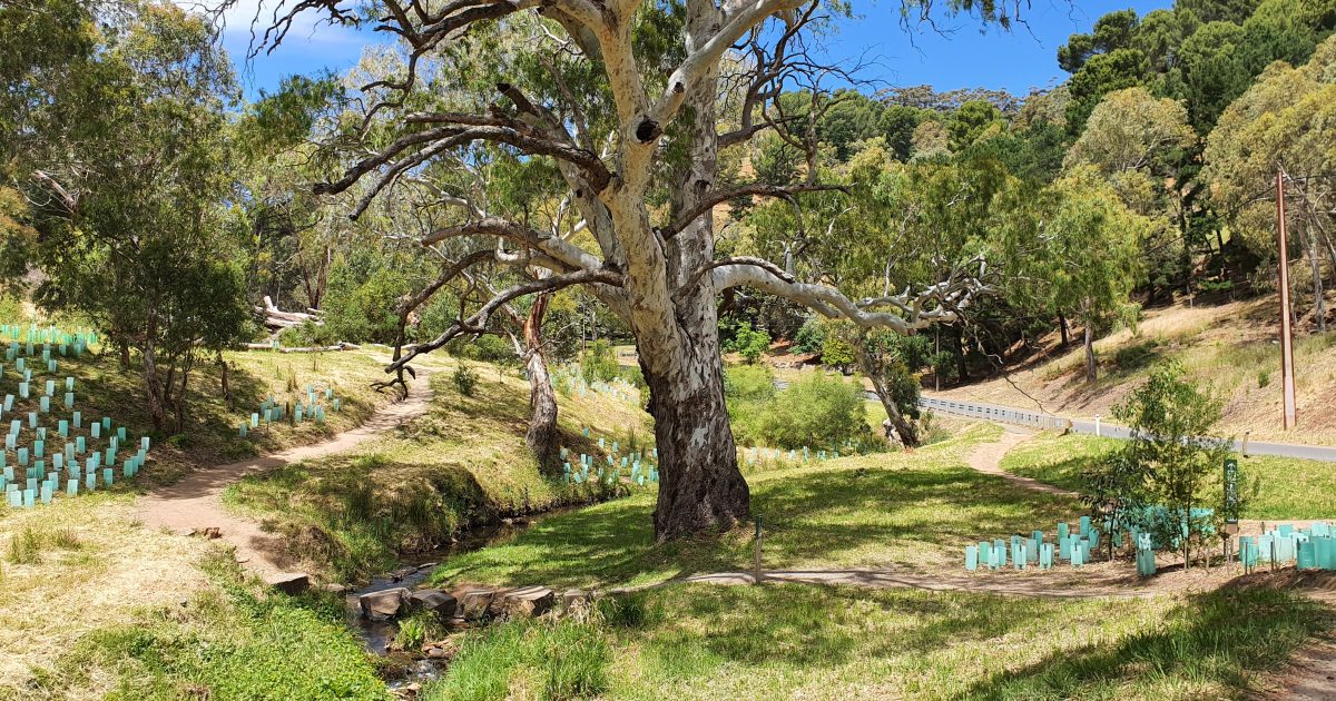 State of the Environment 2023 | Habitat Modification